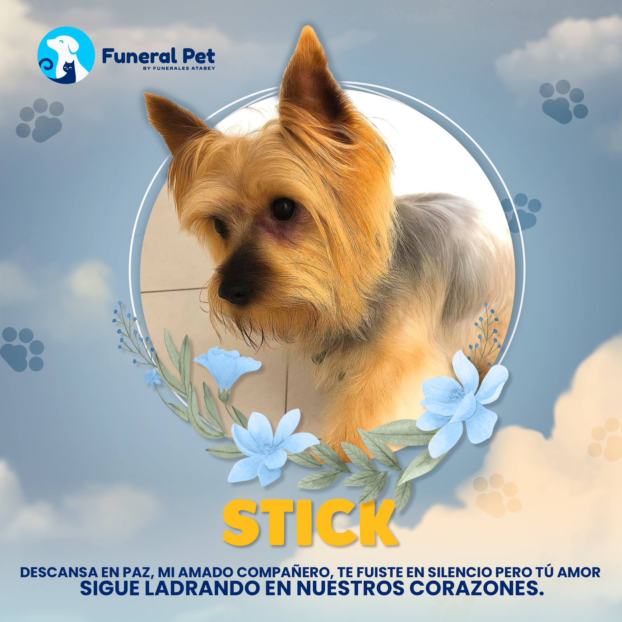 Obituario Funeral Pet | Stick - Funerales Atabey